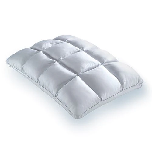 Shop Our Pillow Collection